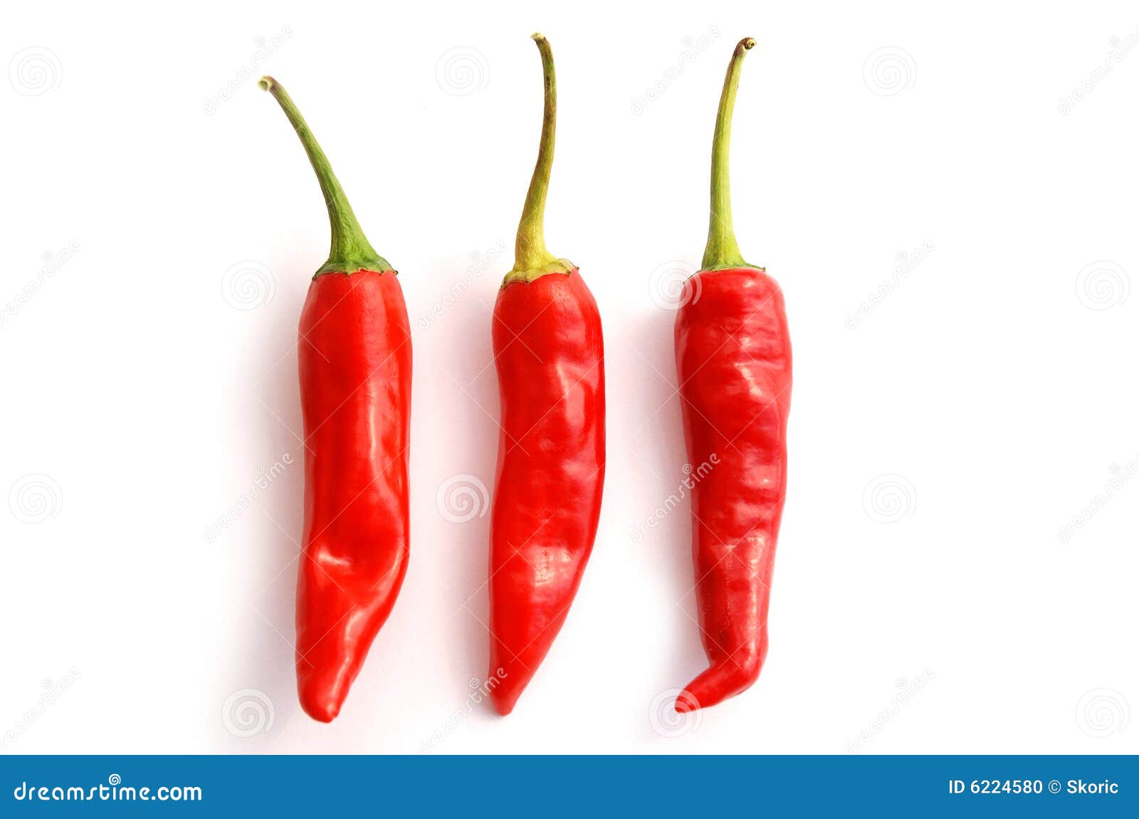 Three chilli peppers stock photo. Image of taste, peppers - 6224580