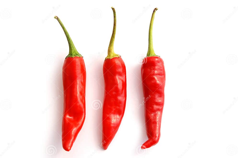 Three chilli peppers stock photo. Image of taste, peppers - 6224580