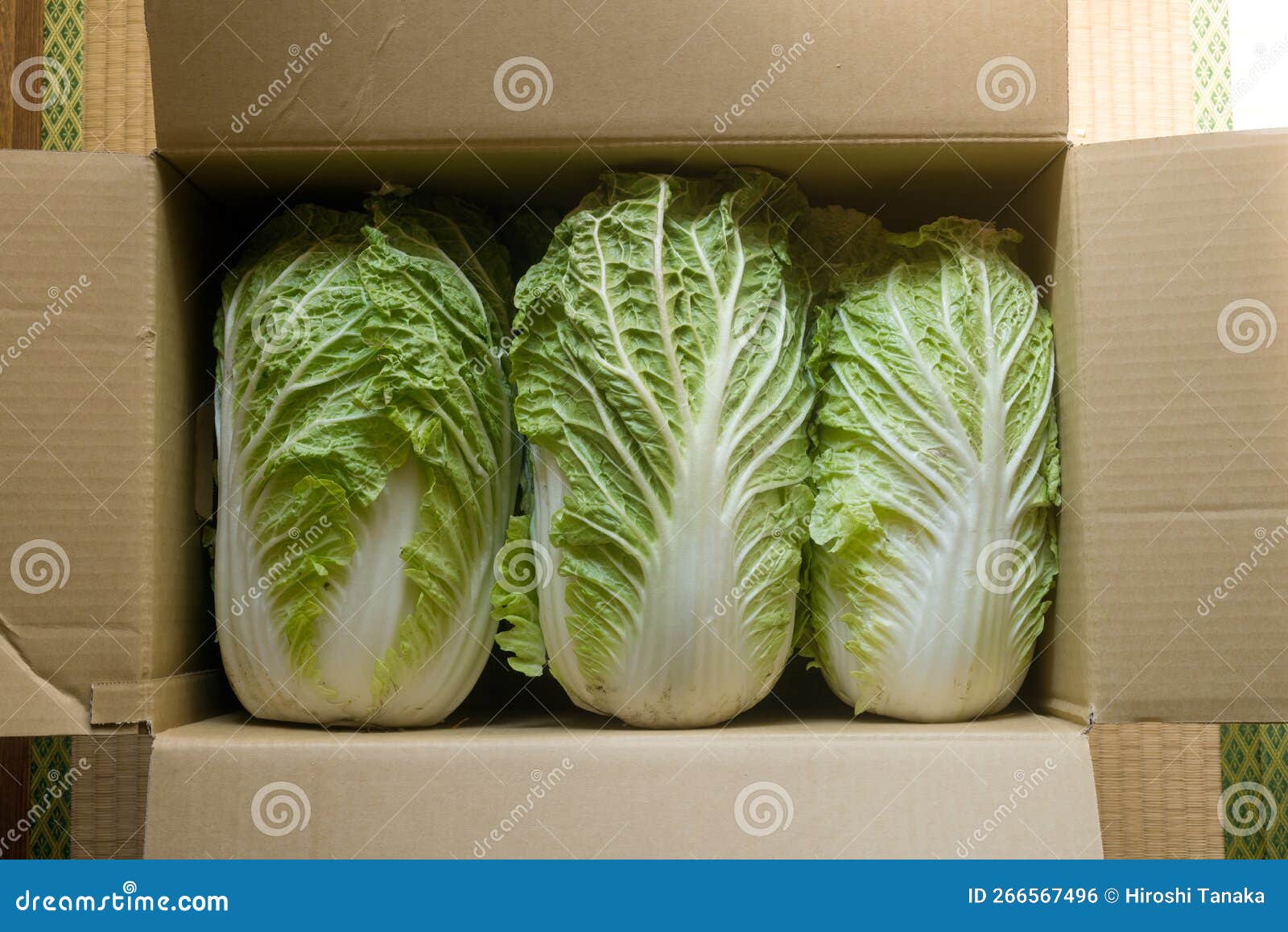 Chinese Cabbage in the Cardboard Box Stock Photo - Image of cabbage ...