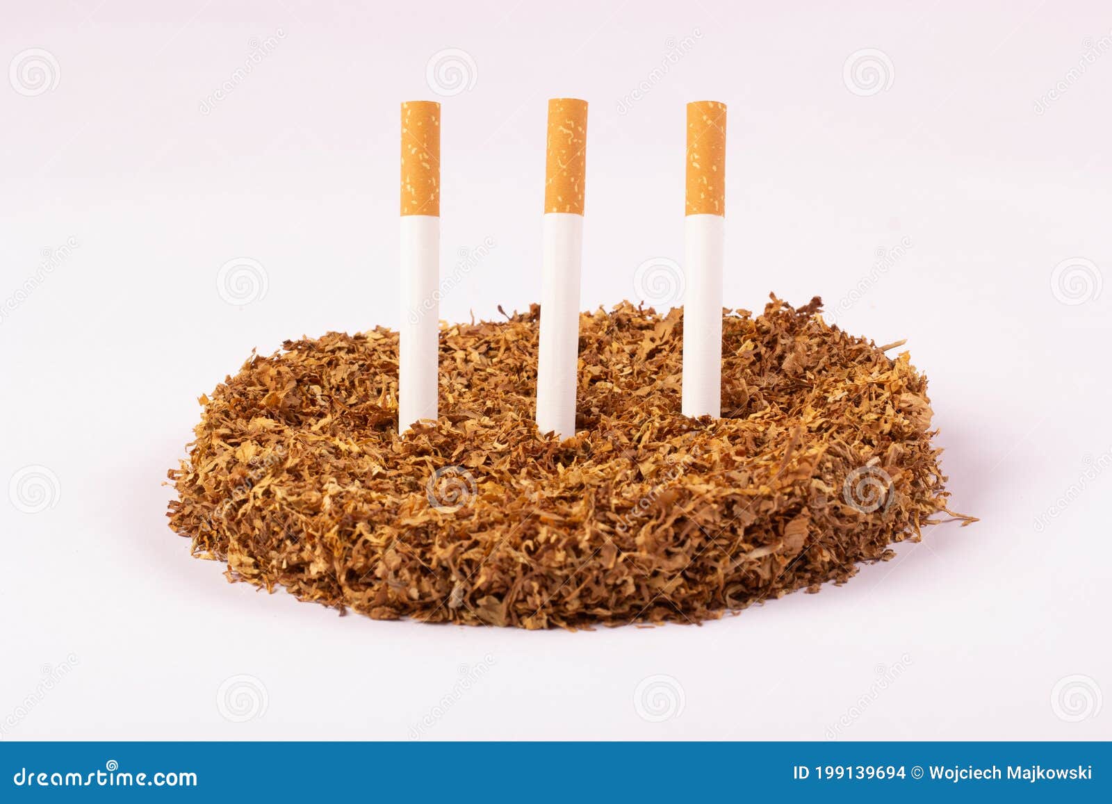 Three Cigarettes Inserted into Tobacco Stock Photo - Image of harvest ...