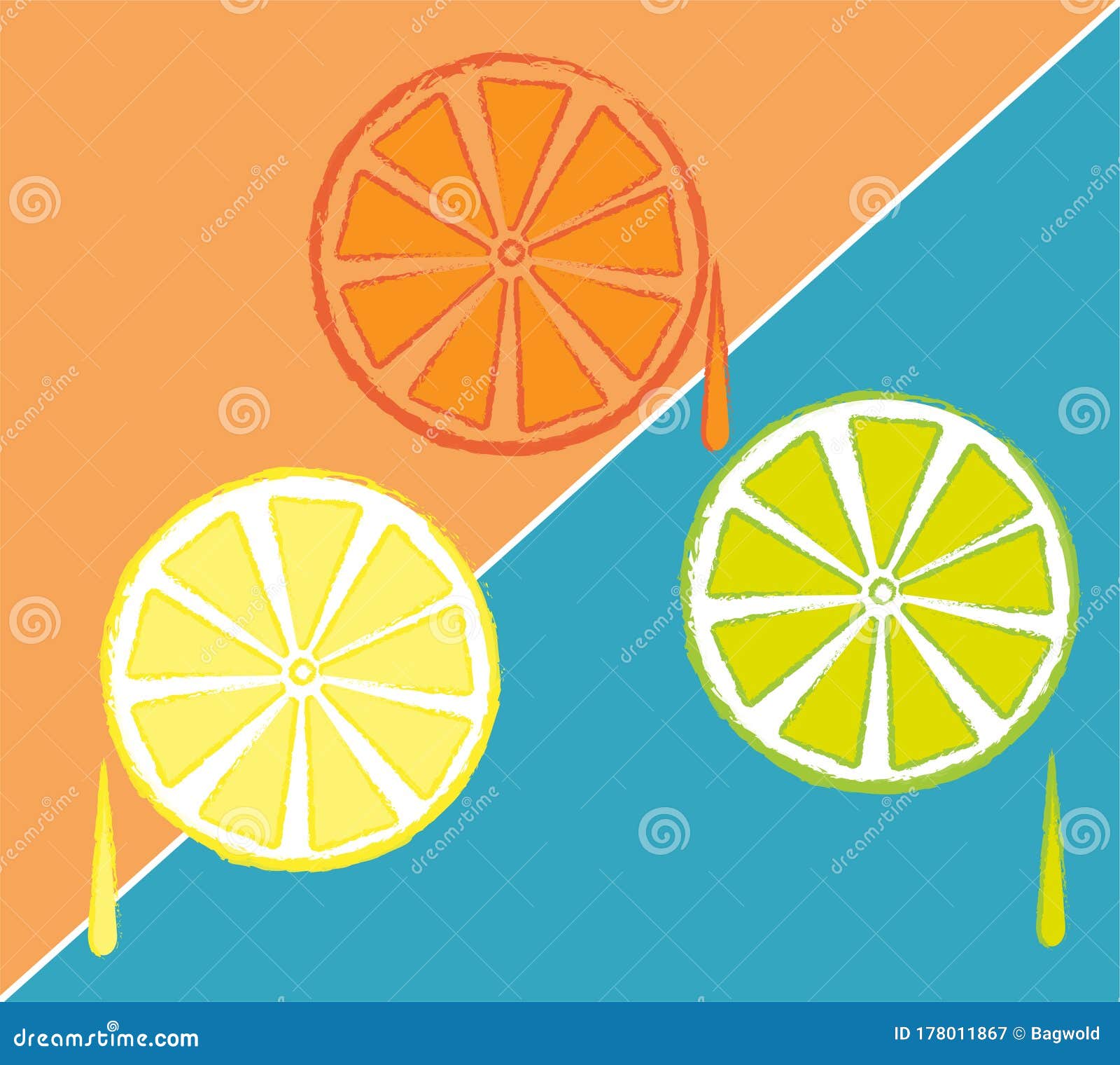 Three Citrus Fruit Slices Vector Image Stock Vector - Illustration of ...