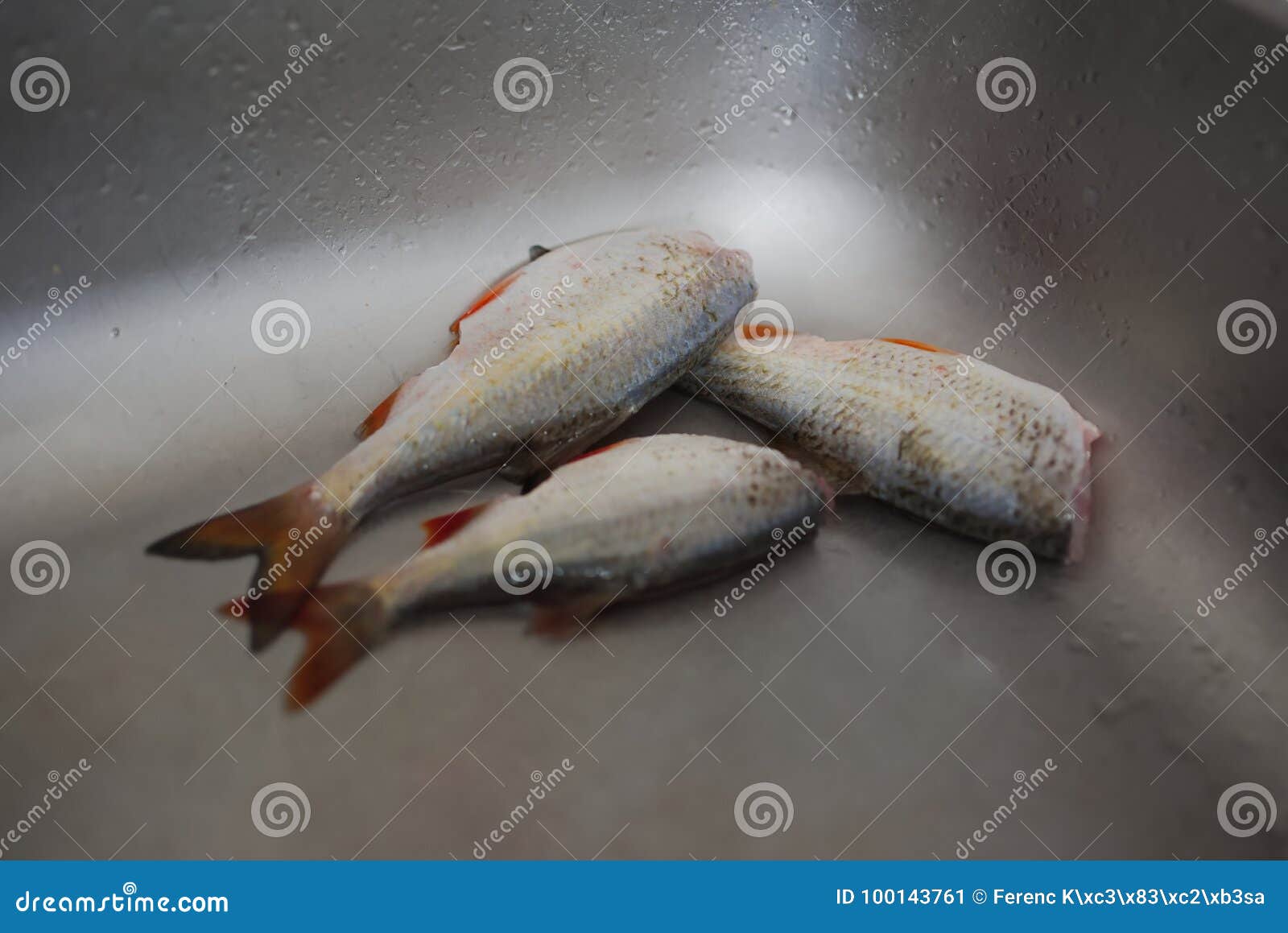 Three Cleaned Fish stock image. Image of freshwater - 100143761