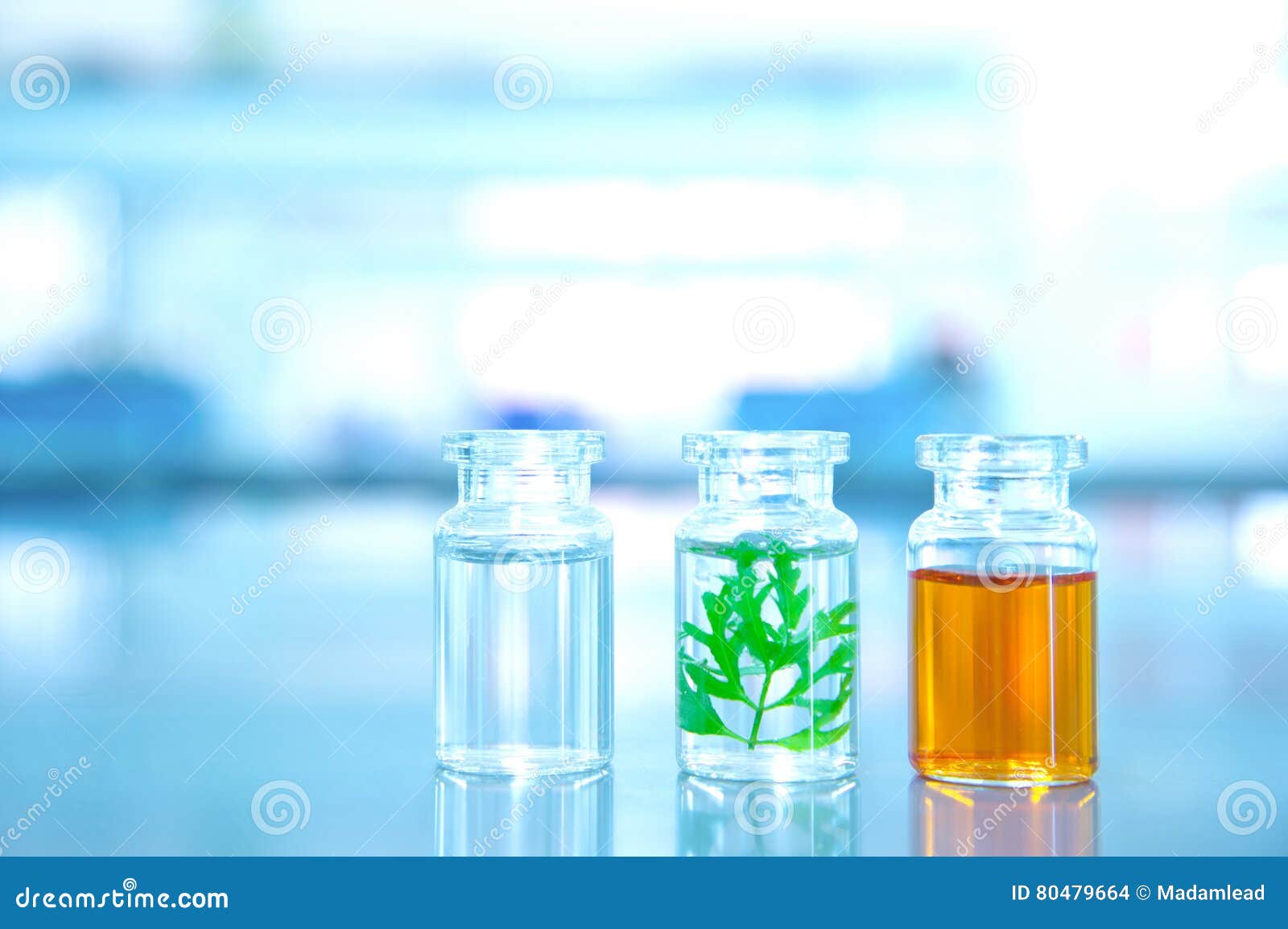 Three Clear Vial with Green Leaf in Lab Science Background Stock Photo ...