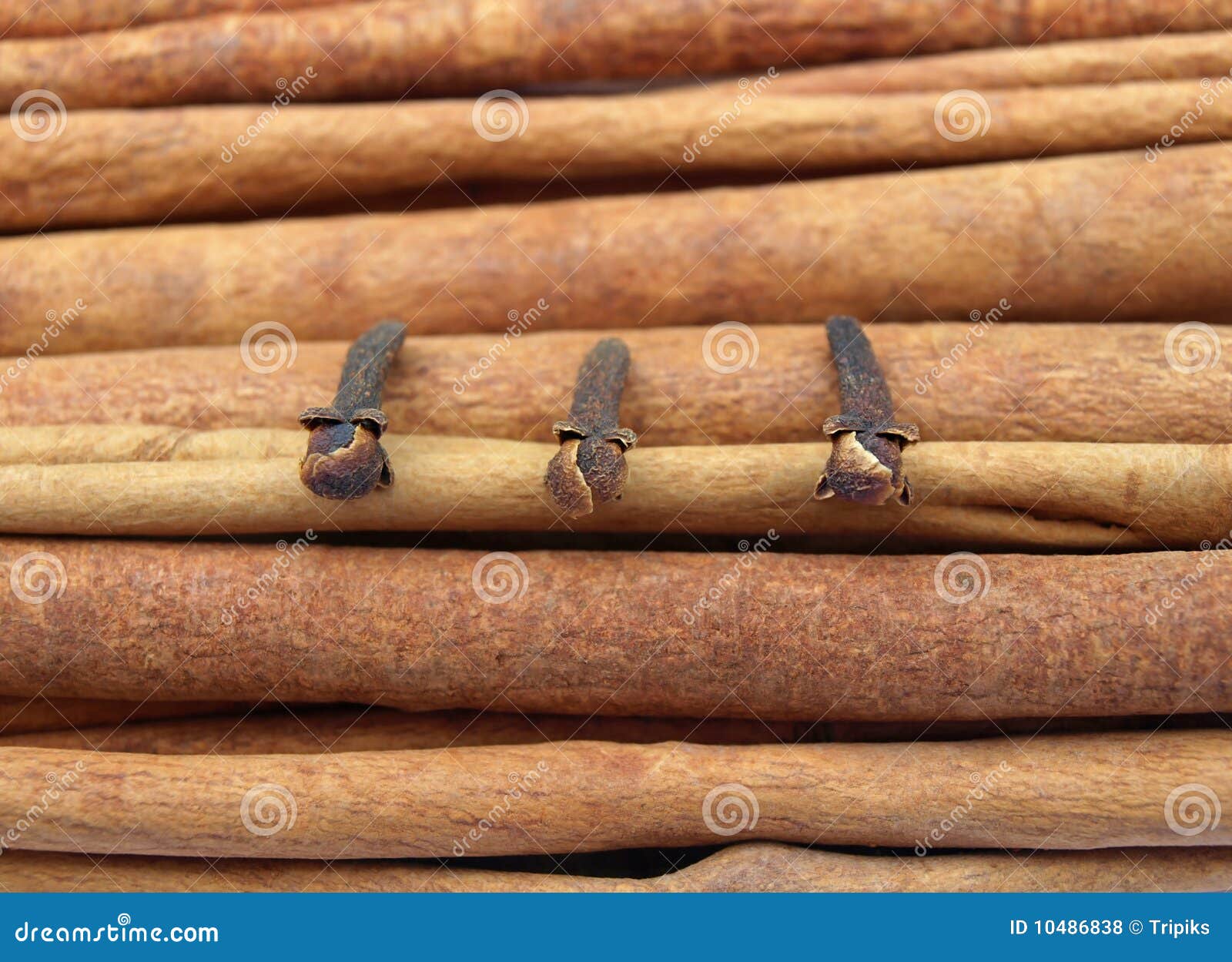 Three cloves stock photo. Image of cook, apothecary, cinnamon - 10486838