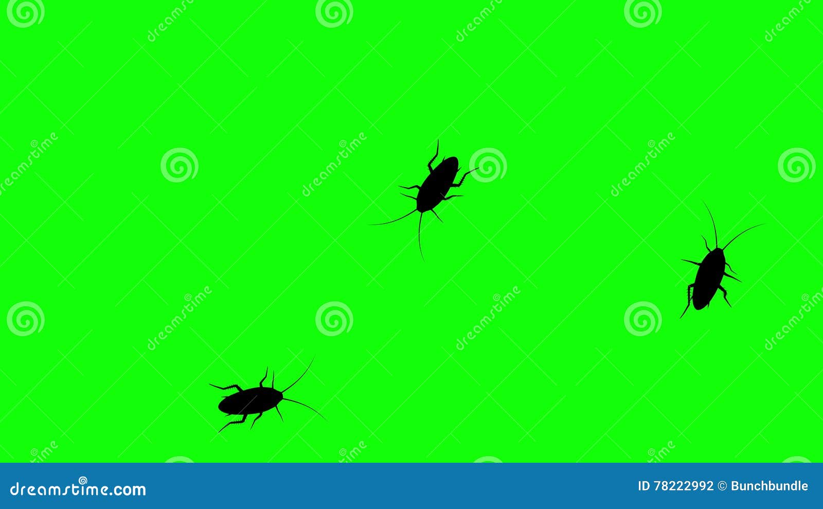 Three Cockroach on Green Screen, CG Animated Silhouettes, Seamless Loop ...