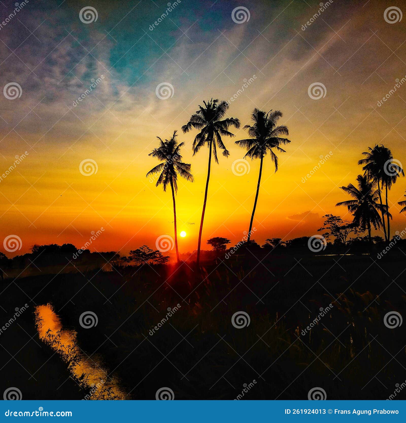 Three Coconut Tree Talking about Sunset Stock Image - Image of cloud ...
