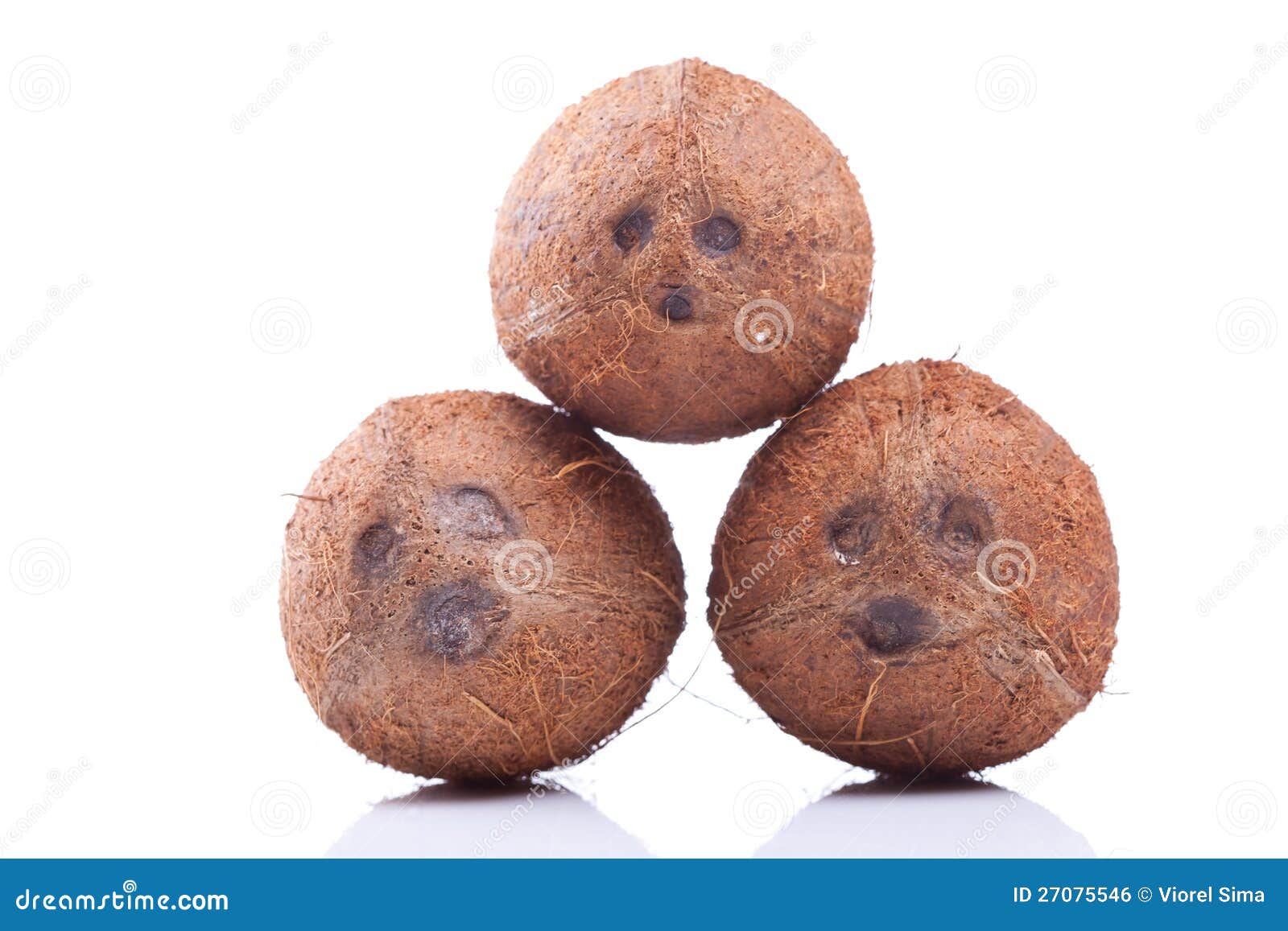 Three coconuts stock photo. Image of exotic, diet, coconut - 27075546 Three coconuts stock photo. Image of exotic, diet, coconut - 27075546