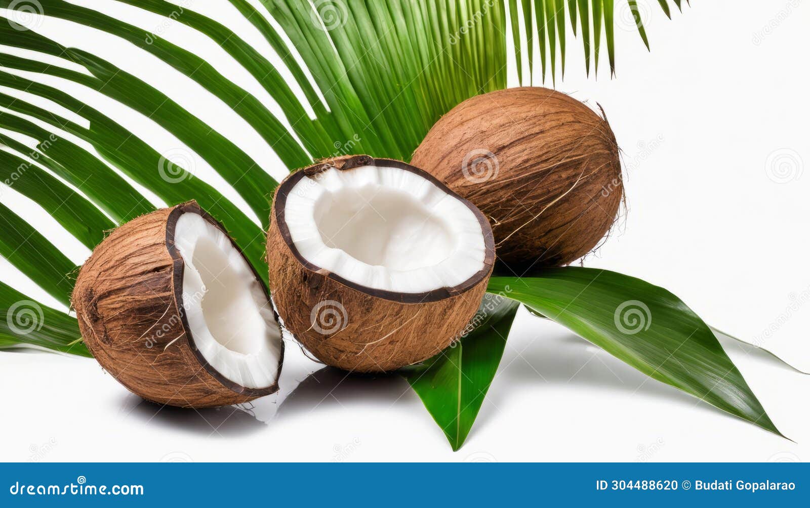 Three Coconuts with White Meat Stock Illustration - Illustration of ...