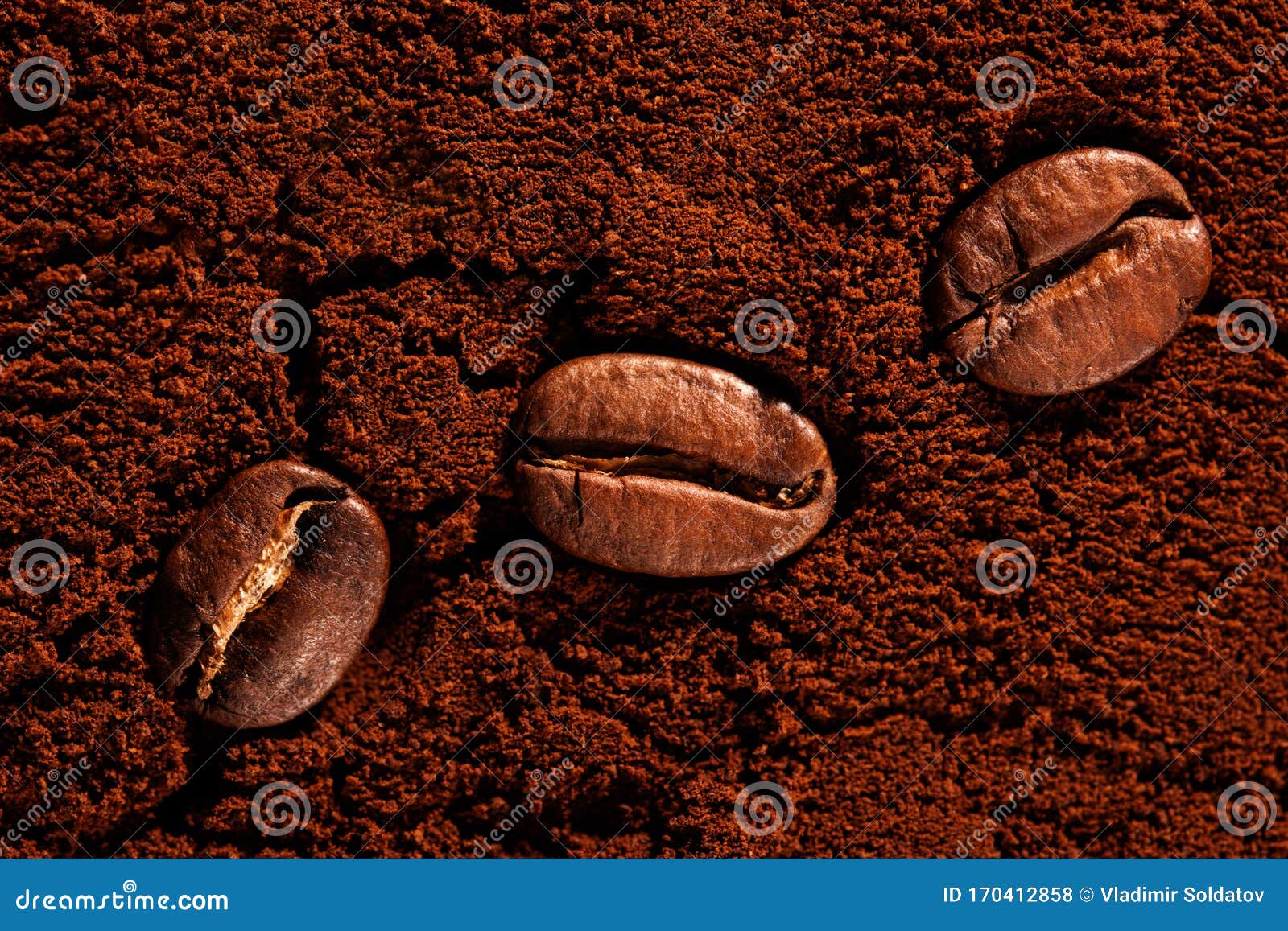 Three Coffee Beans on Ground Coffee Stock Photo - Image of fuel ...