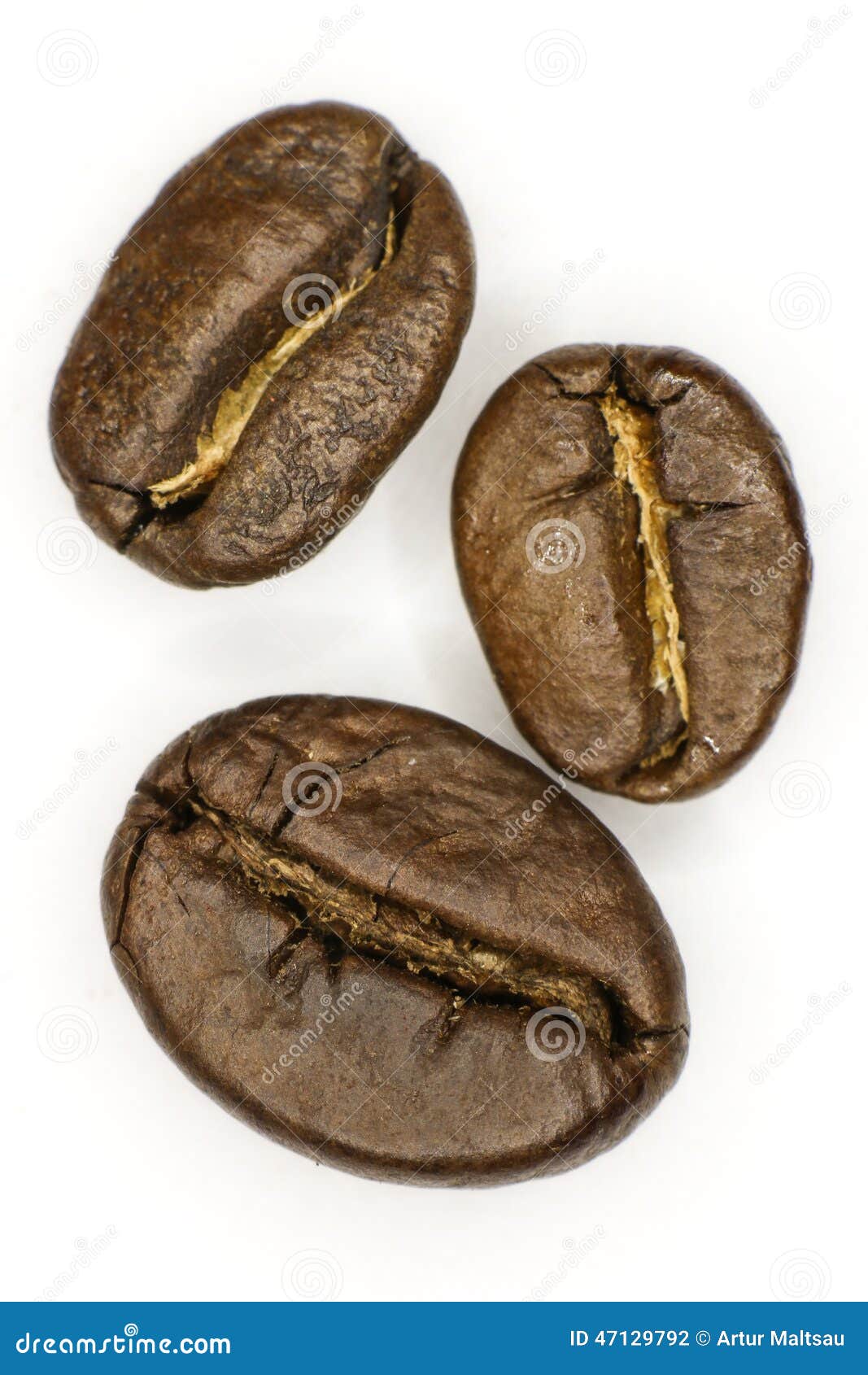 Three coffee beans stock photo. Image of brown, white - 47129792