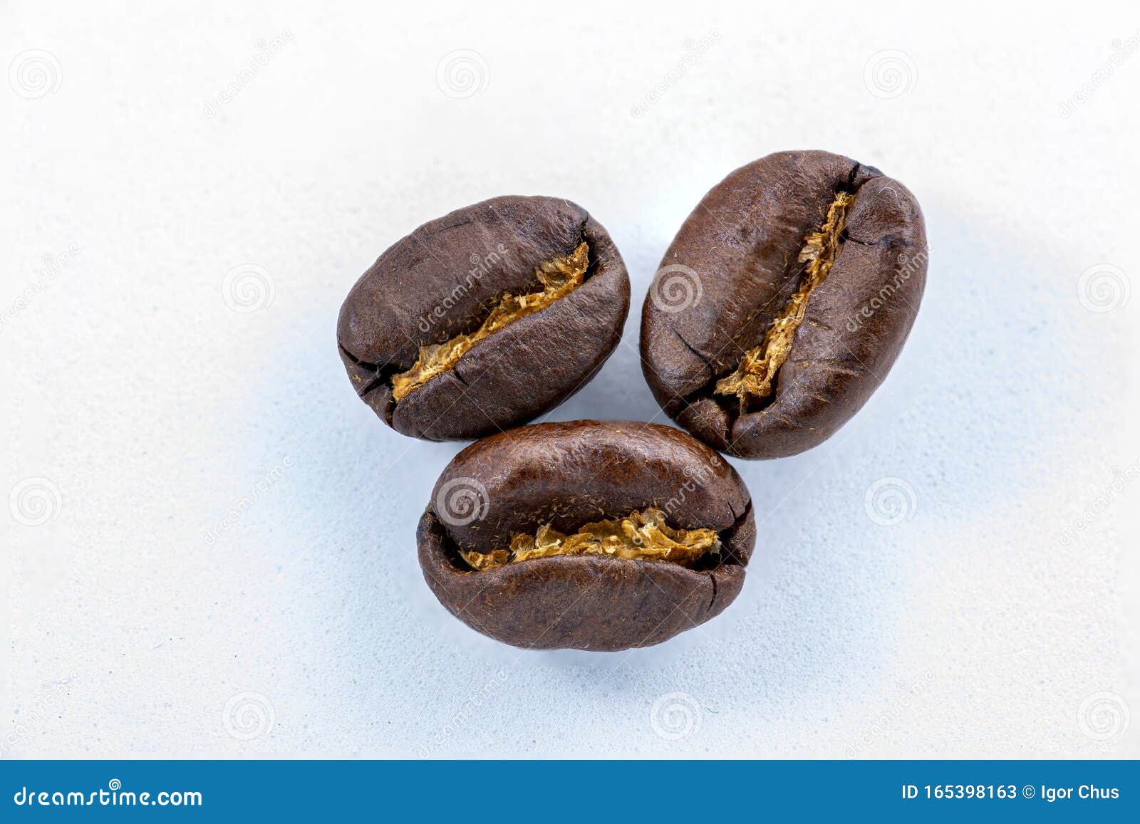 Three Coffee Beans on a White Background Stock Image - Image of grained ...