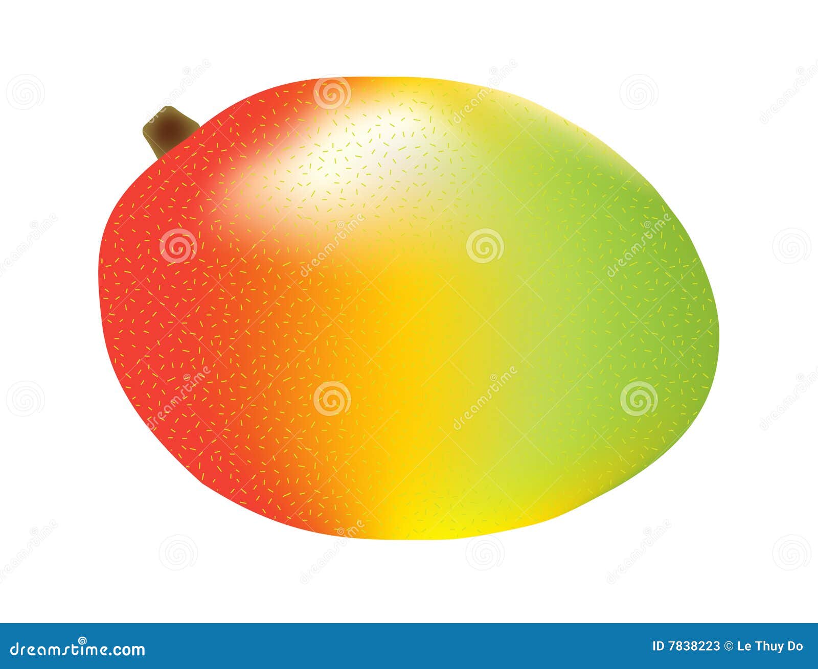 Three color mango stock illustration. Illustration of plant - 7838223