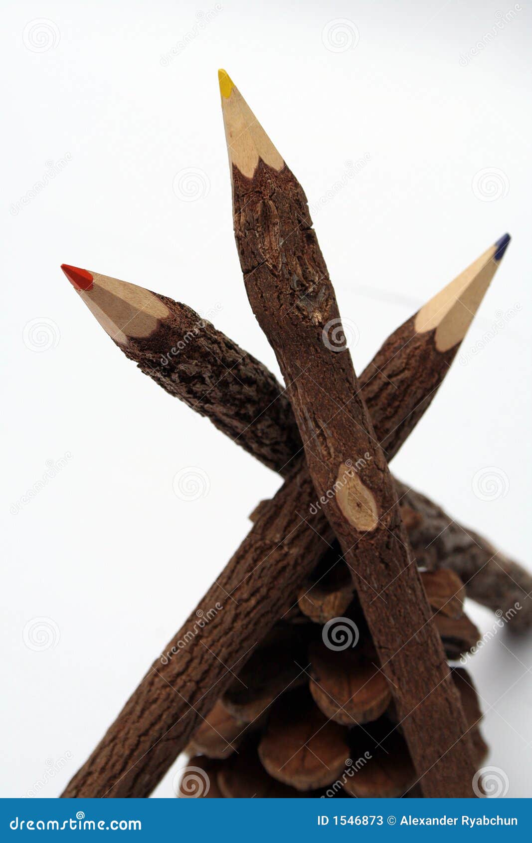 Three Color Pencils Made of a Natural Tree and Pine Cone Stock Image ...
