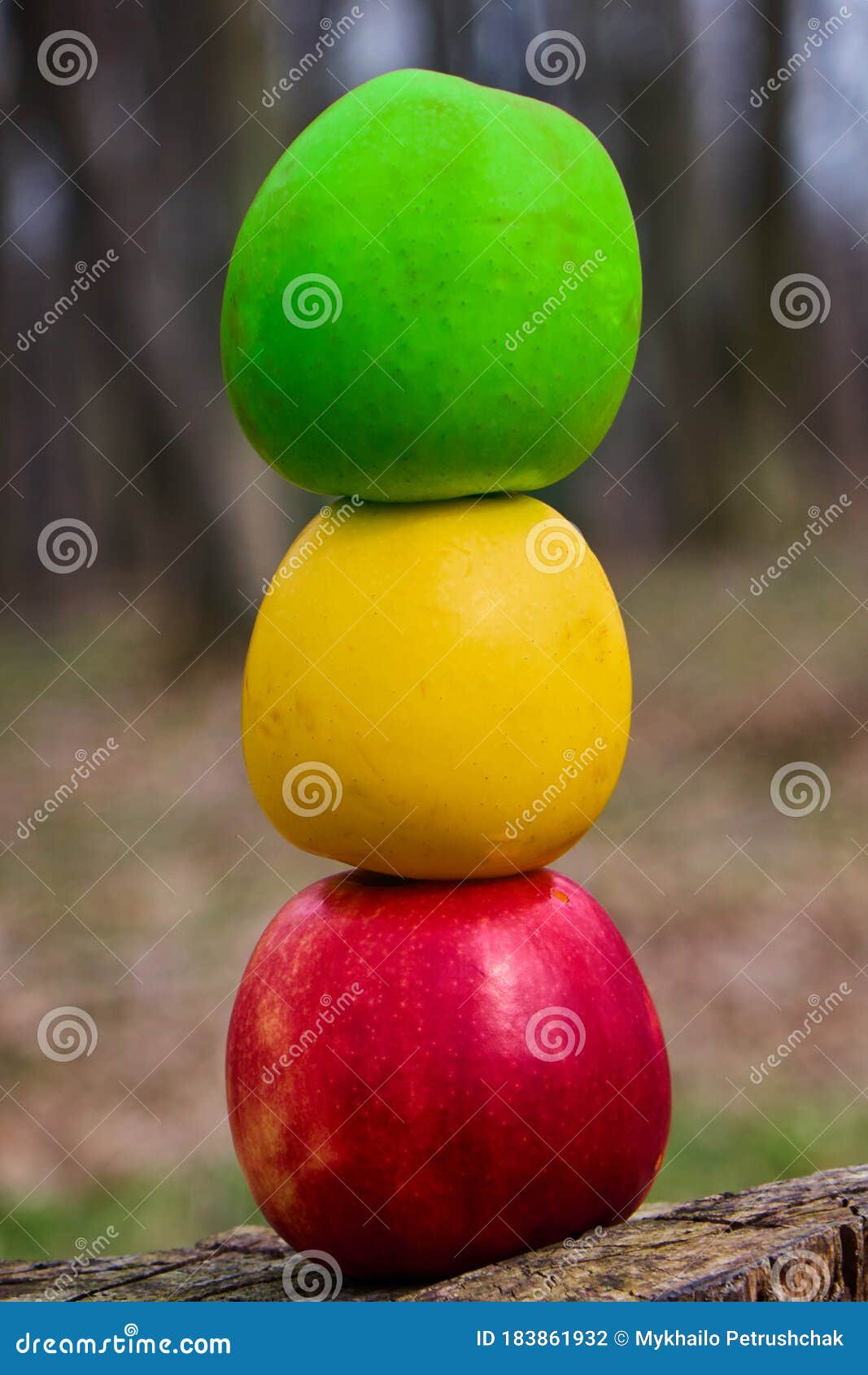Three Colored Apples in the Form of a Traffic Light on a Tree Stump in ...