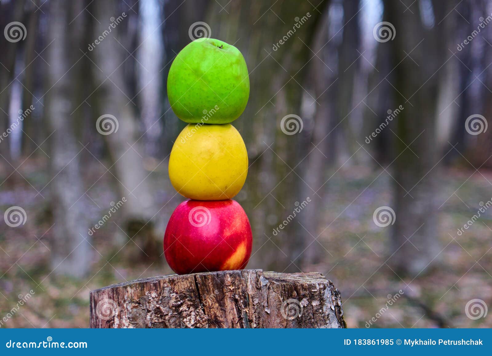 Three Colored Apples in the Form of a Traffic Light on a Tree Stump in ...