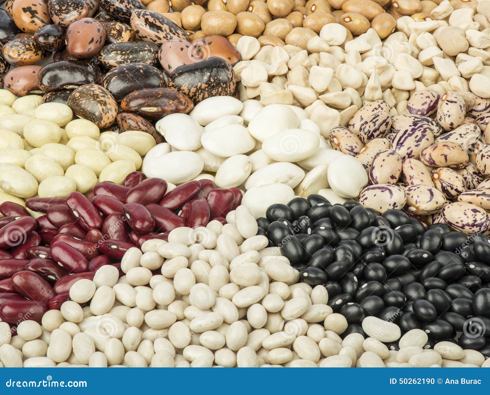 Three colored beans stock photo. Image of beans, legume - 50262190