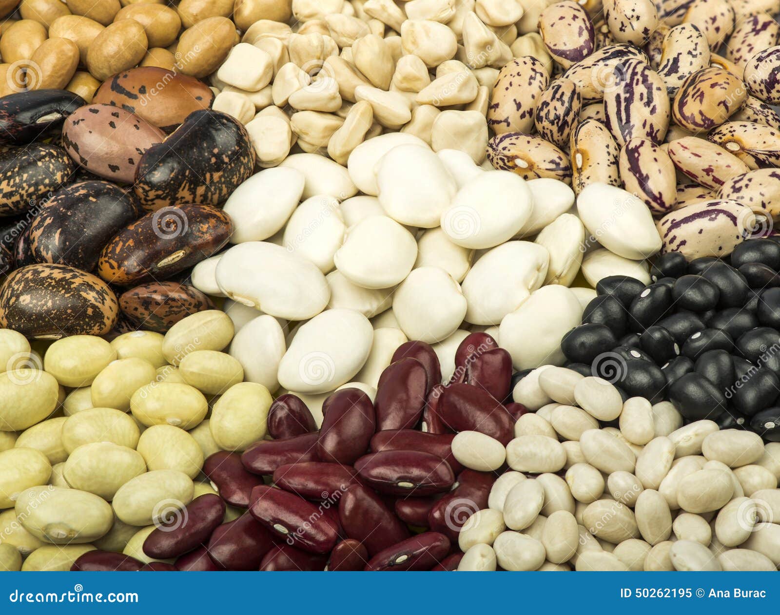 Three colored beans stock image. Image of vegetarian - 50262195