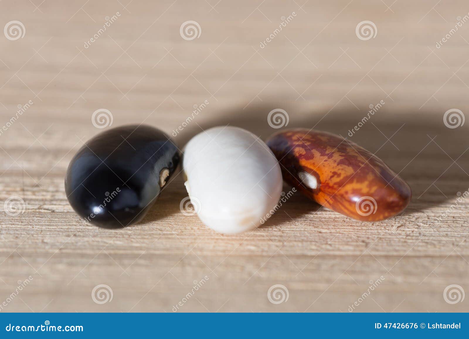 2,938 Colored Grains Stock Photos - Free & Royalty-Free Stock Photos ...