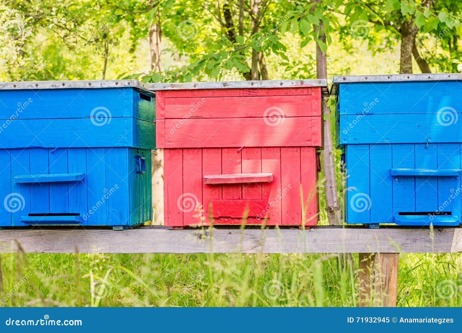 Three Colorful Beehives stock image. Image of three, insect - 71932945
