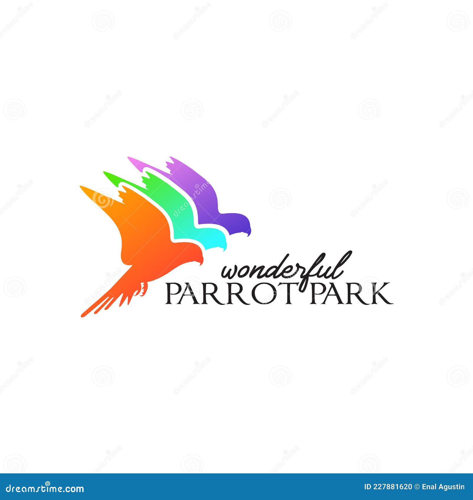 Three Colorful Flying Parrots Logo Design Stock Vector - Illustration ...
