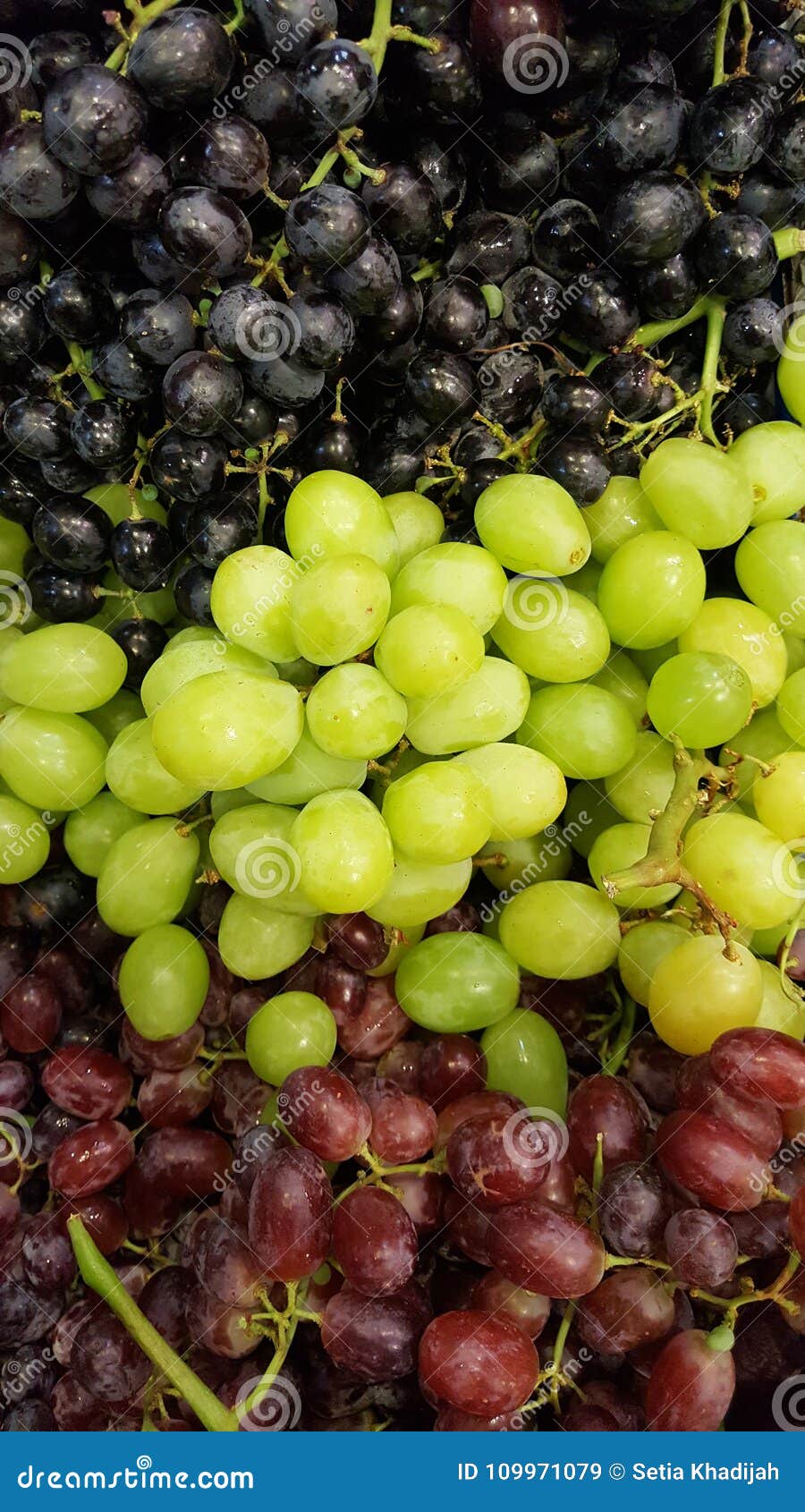 Three colors of grapes stock image. Image of grape, grapes - 109971079