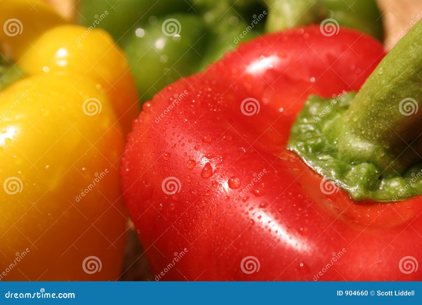 Three Colors Pepper stock photo. Image of pepper, recipe - 904660