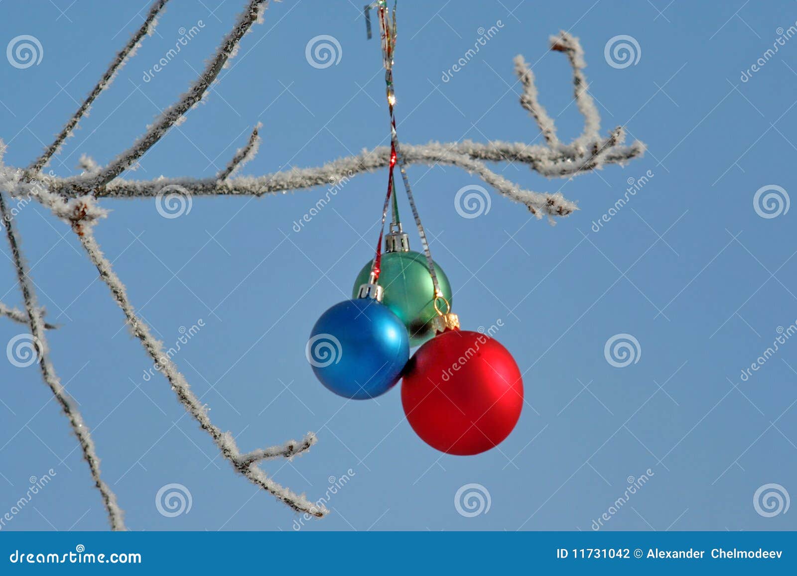 Three Colour Balls on a Branch Stock Photo - Image of colour, green ...