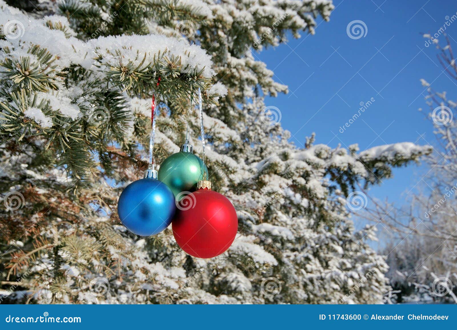 Three Colour Balls on a Fir-trees Branch Stock Photo - Image of snow ...