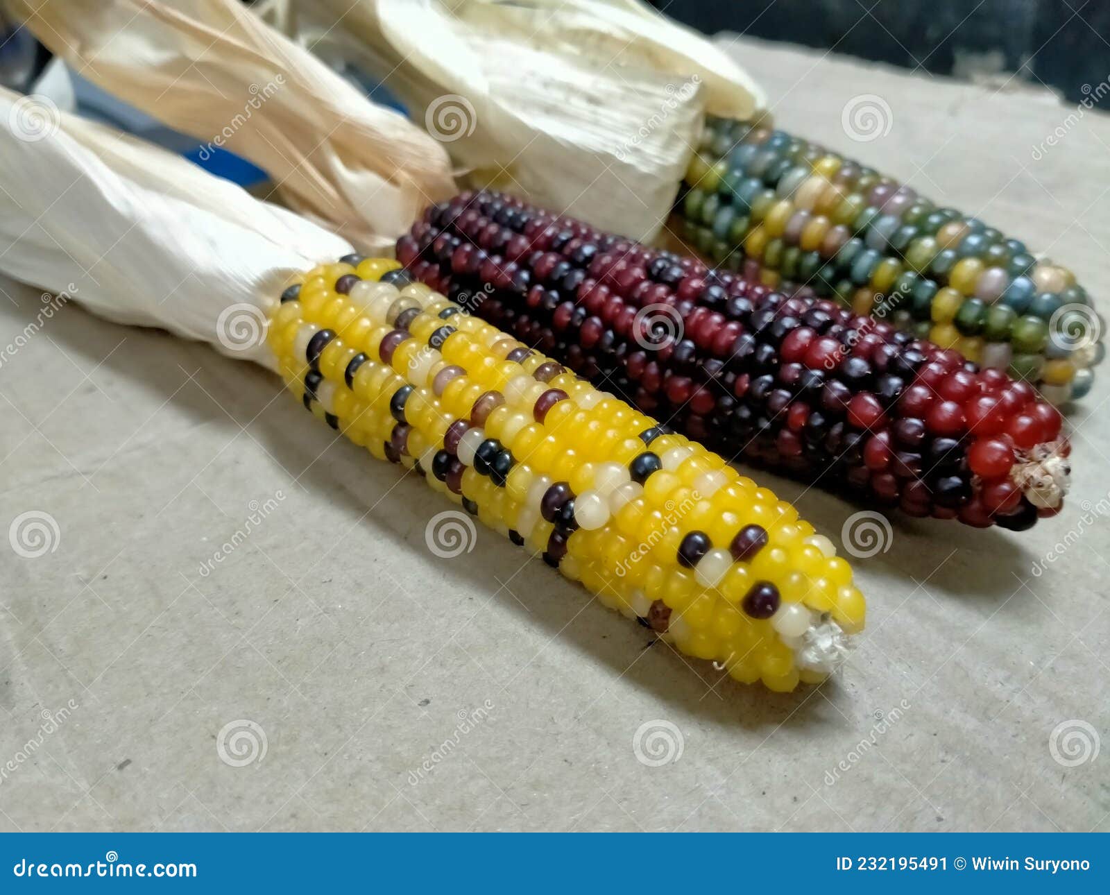 The Three Coloured of Corns Left Views are Occurring on the Right Side ...