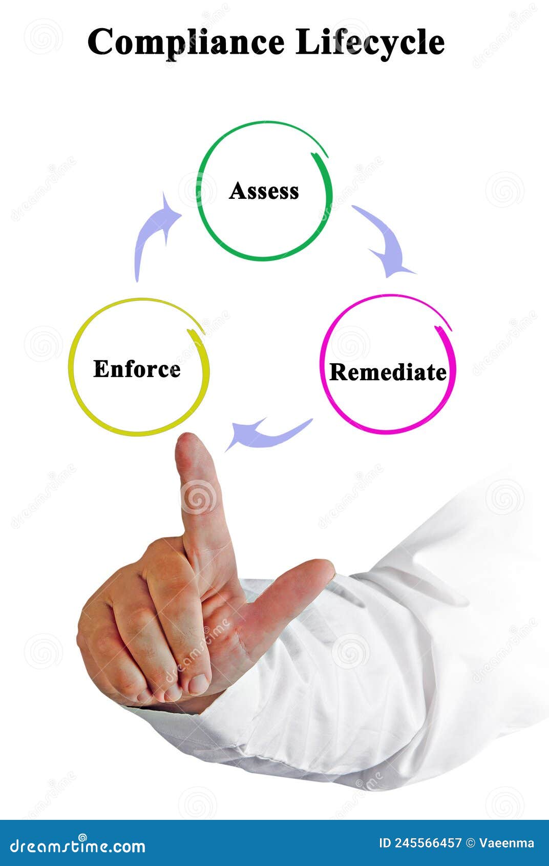 Components of Compliance Lifecycle Stock Image - Image of 2980, enforce ...