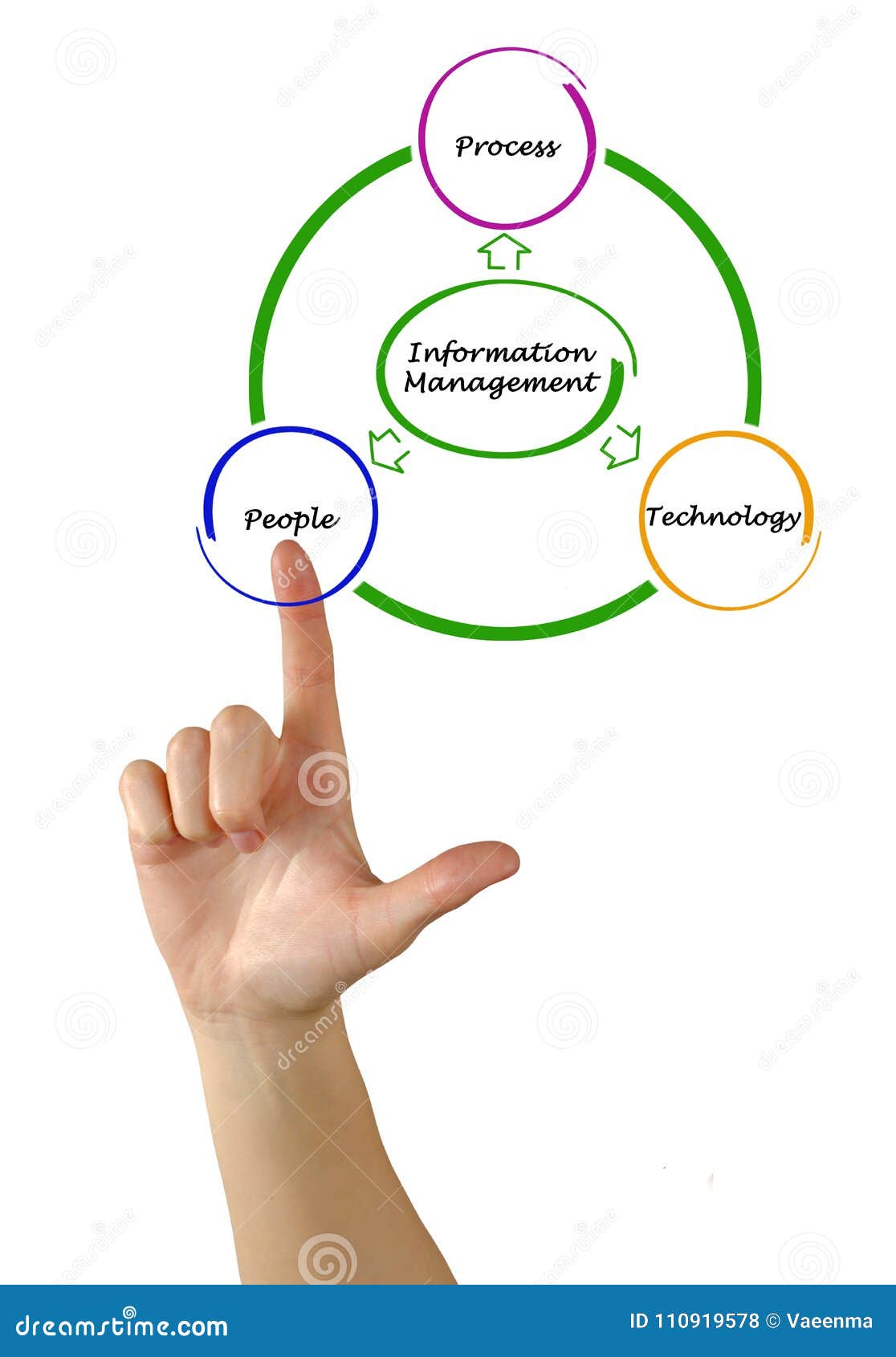 Diagram of Information Management Stock Photo - Image of process ...