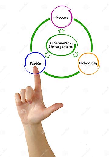 Diagram of Information Management Stock Photo - Image of process ...