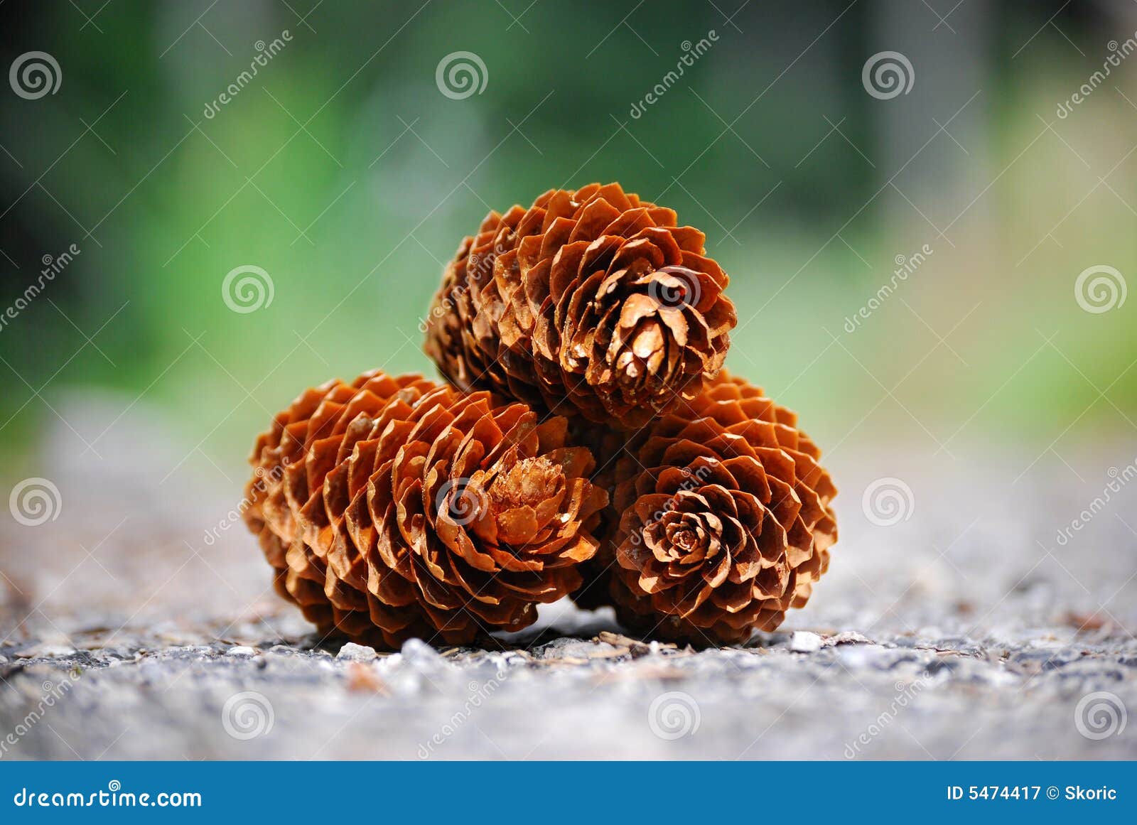 Three cones stock image. Image of cones, together, cone - 5474417