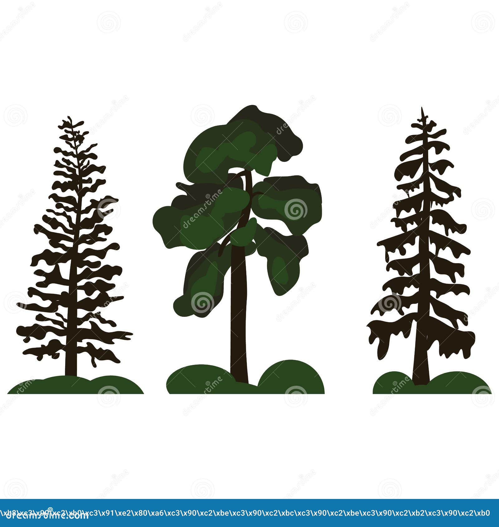 Three Conifers, Forest, Spruce and Pine Plants Stock Vector ...