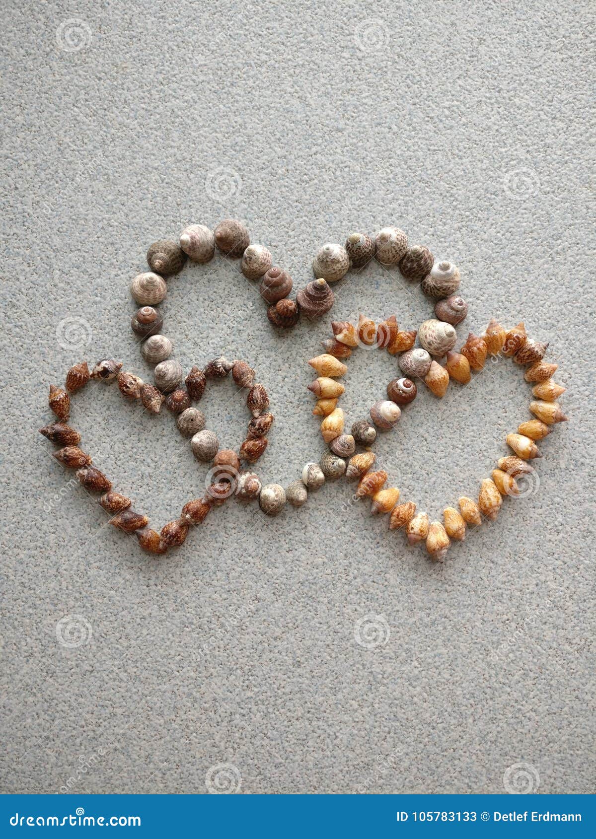 Three Connected Hearts Created with Snail Shells Collected at the Beach ...