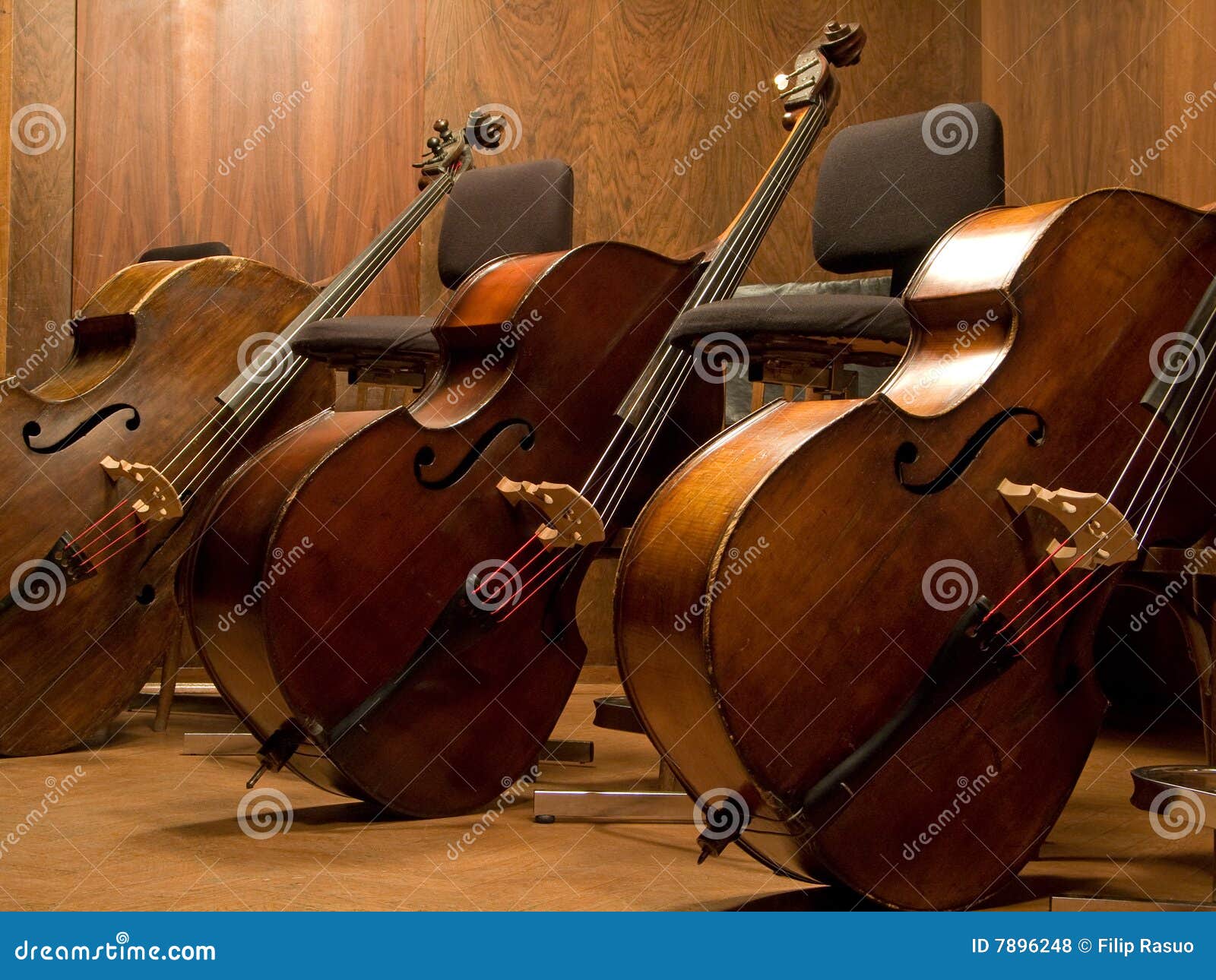 Three Contrabasses stock photo. Image of artist, music - 7896248