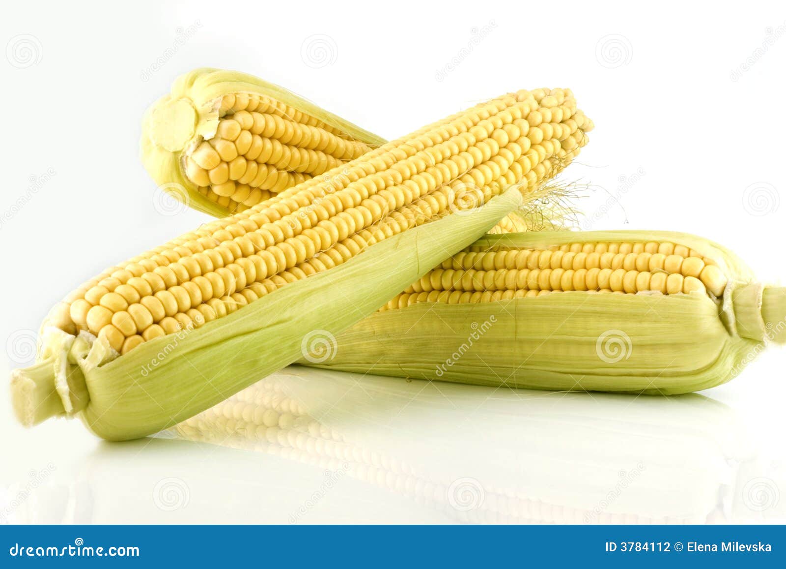 Three corn cob stock photo. Image of nature, green, kernels - 3784112