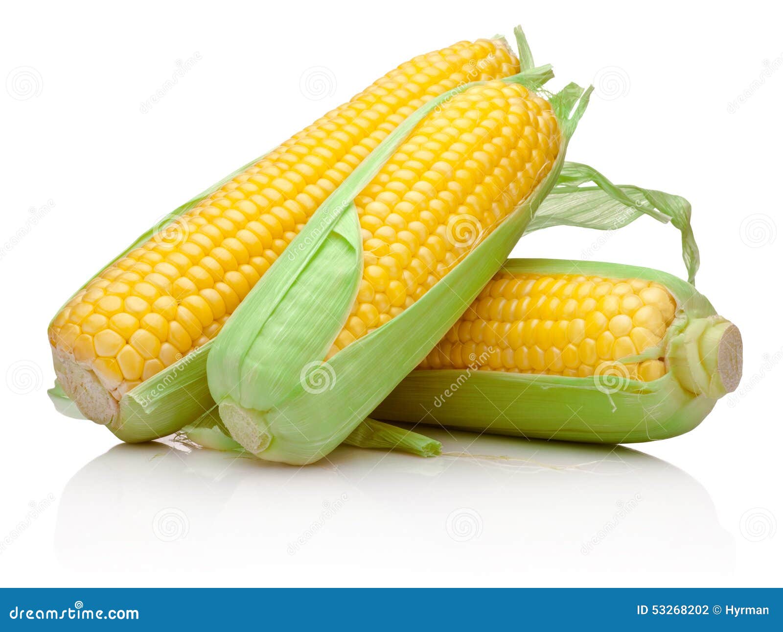 Three Corn Cob Isolated on White Background Stock Photo - Image of crop ...