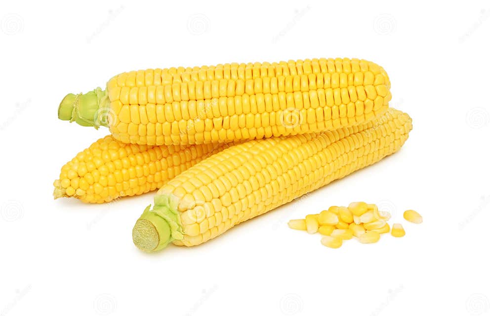 Three Corn on the Cob without Leaves (isolated) Stock Photo - Image of ...