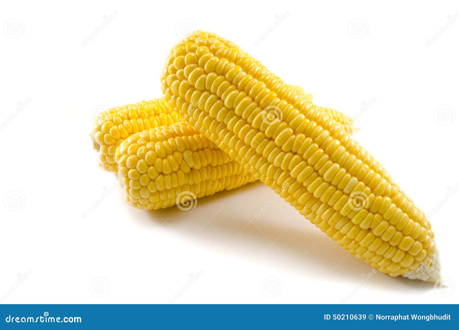 Three corn on the cob stock image. Image of corn, agriculture - 50210639