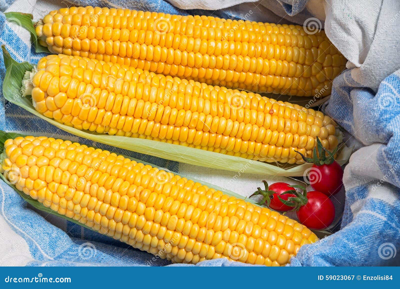 Three corn cob stock image. Image of grain, healthy, food - 59023067