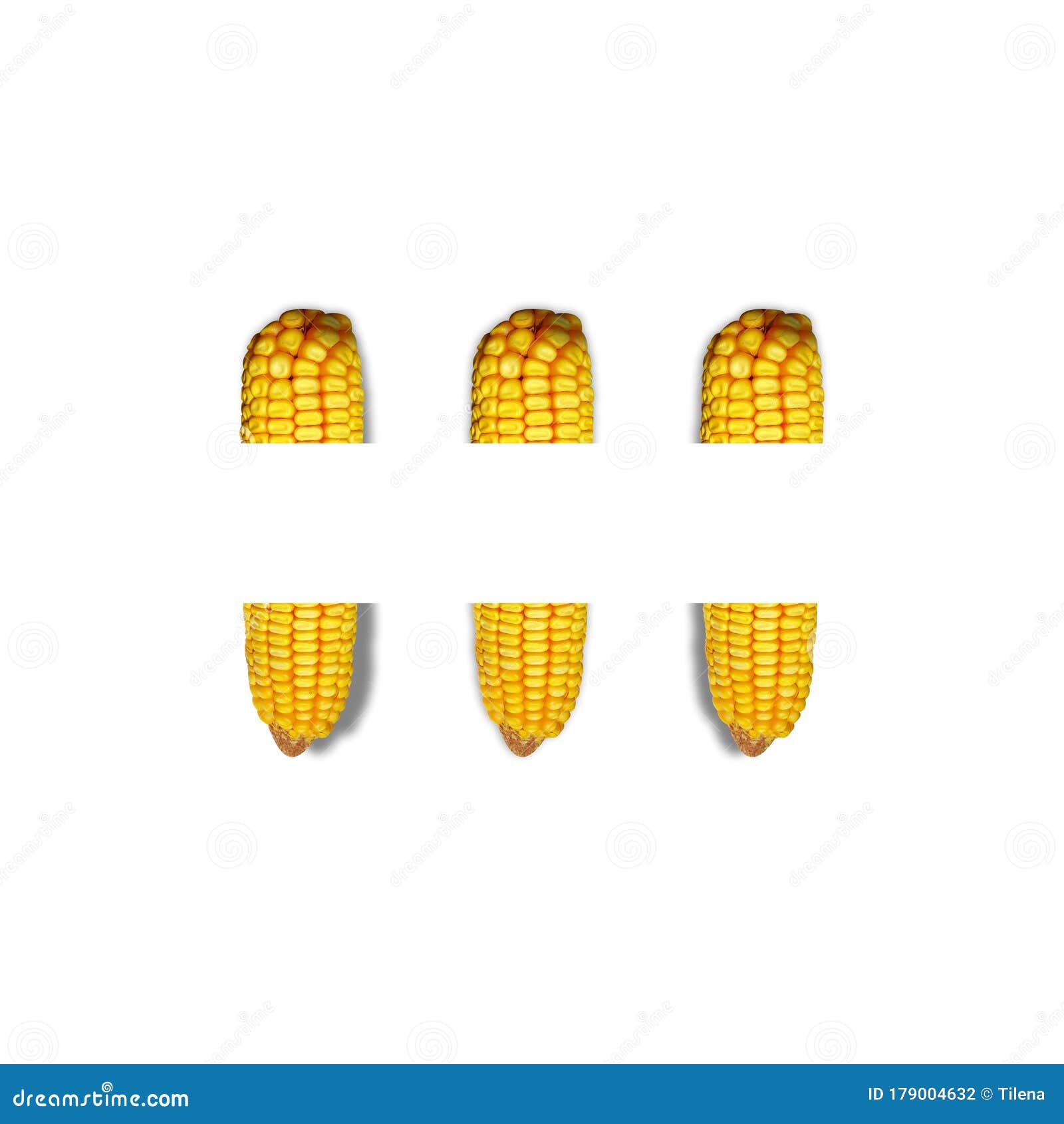 Three Corn Cobs Cut in Half Stock Photo - Image of decoration, idea ...