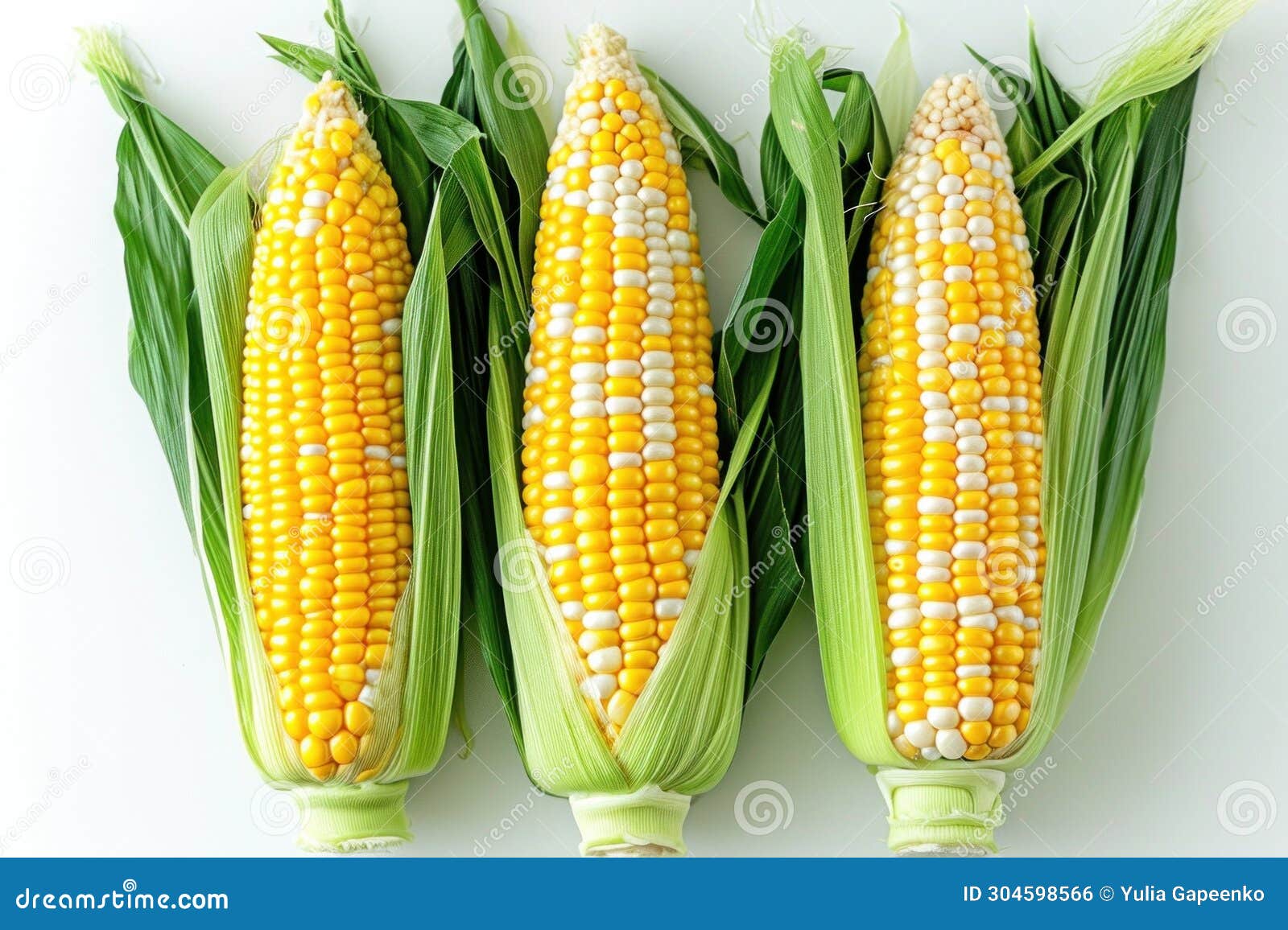 Three Corn Ears on a White Background Stock Illustration - Illustration ...