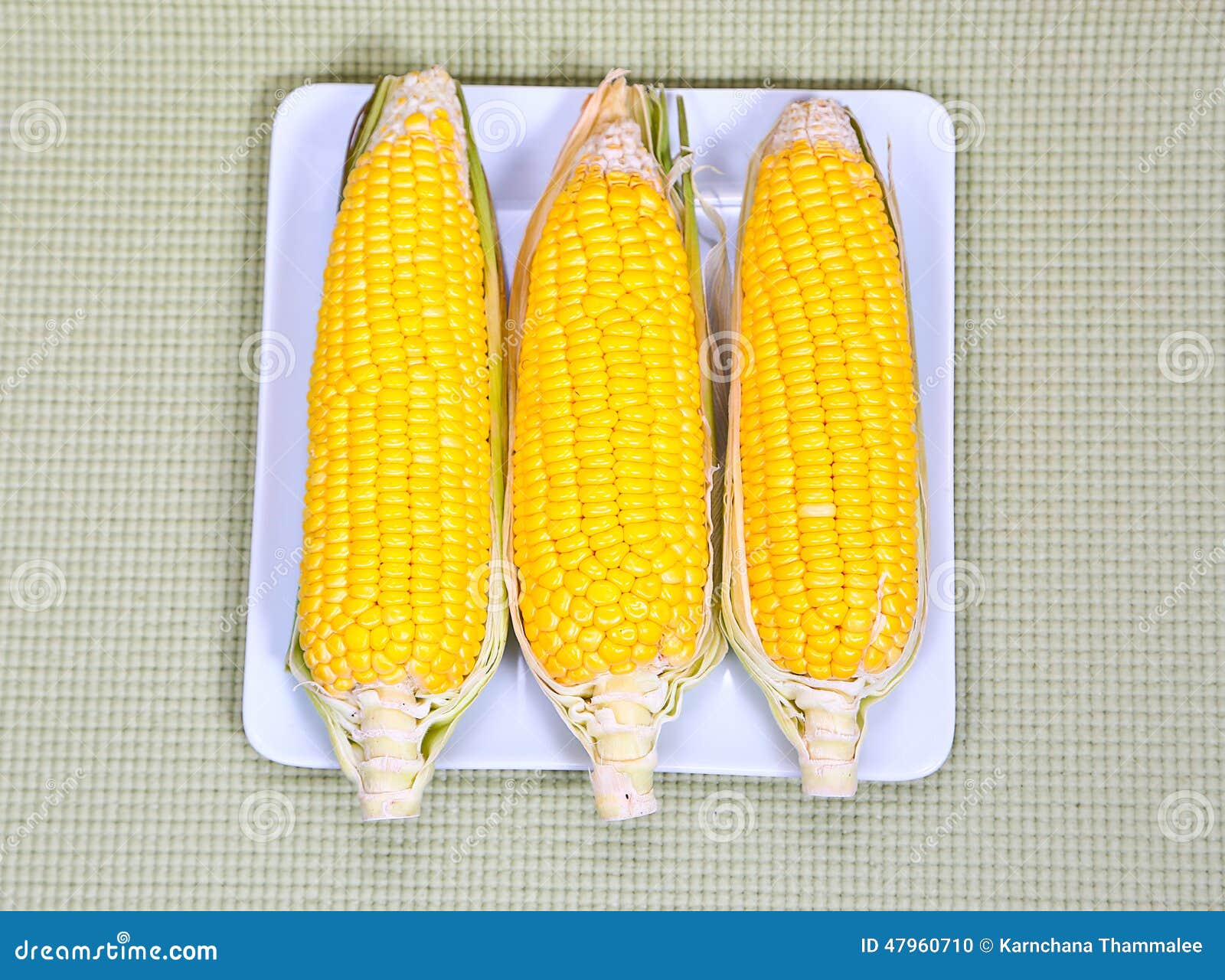 Three corn stock photo. Image of corn, sweet, yellow - 47960710