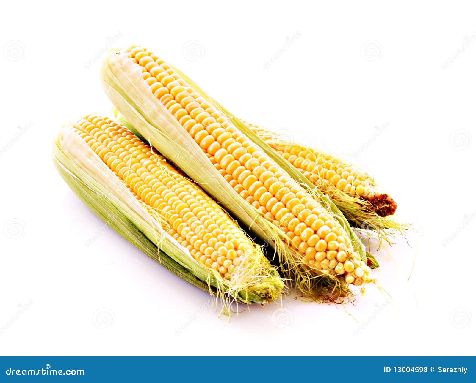 Three corns isolated stock photo. Image of farm, gold - 13004598