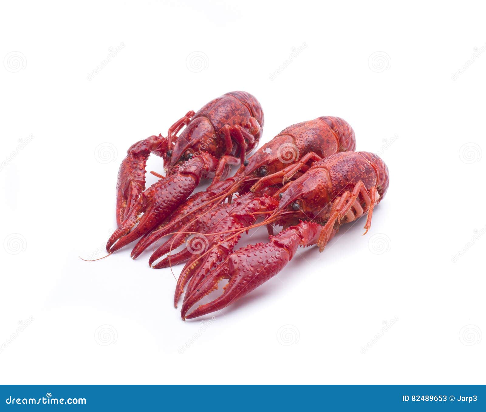 Three crab stock image. Image of river, shellfish, tweezers - 82489653