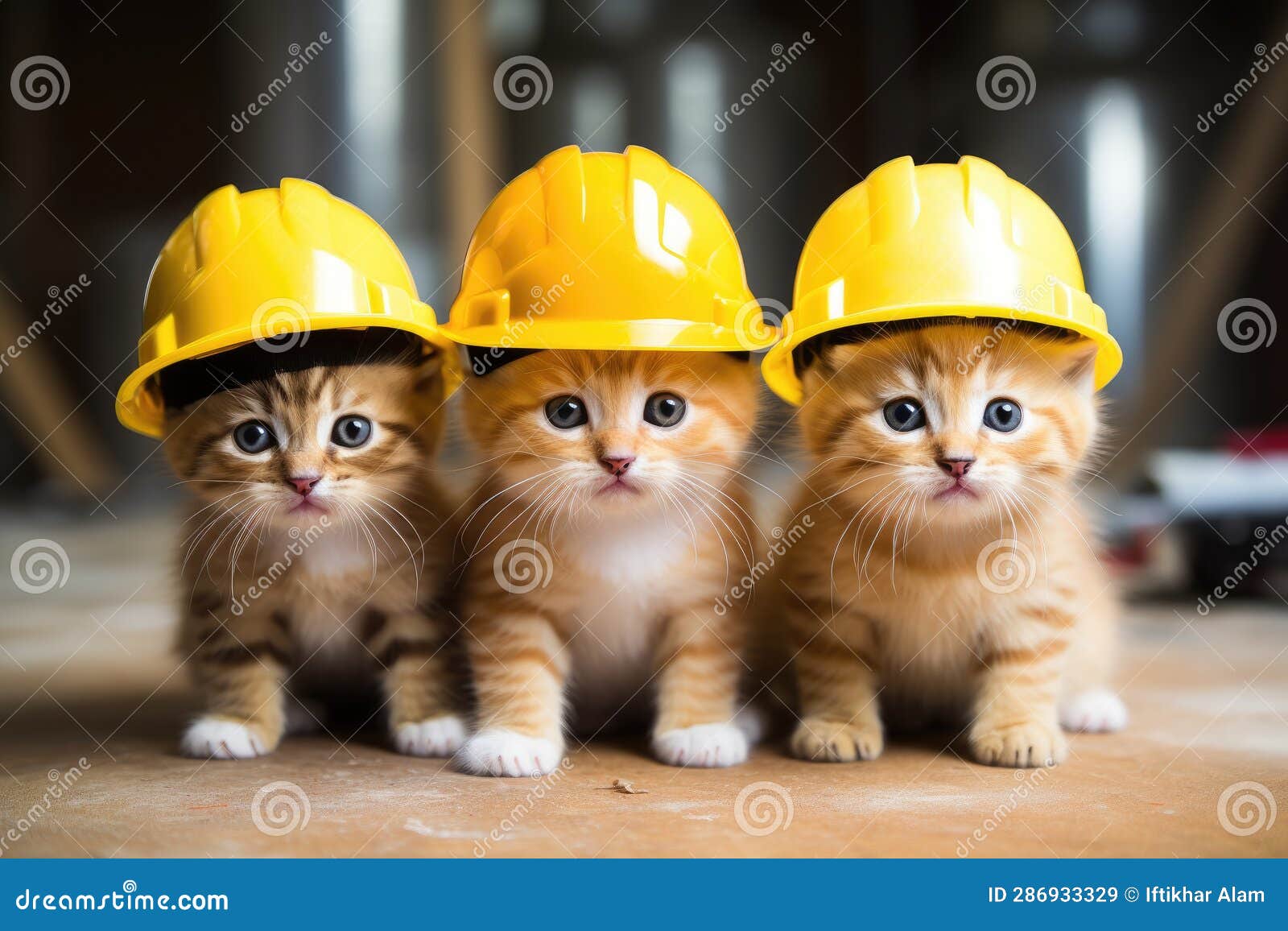 Three Cute Kittens in a Hard Hat on the Floor. Selective Focus Stock ...