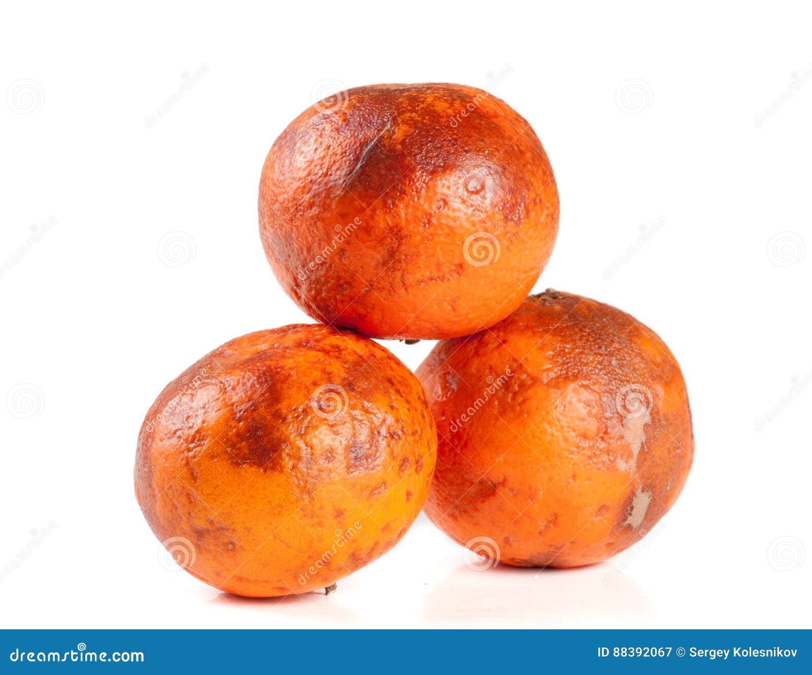 Three Damaged Tangerine on White Background Stock Image - Image of ...
