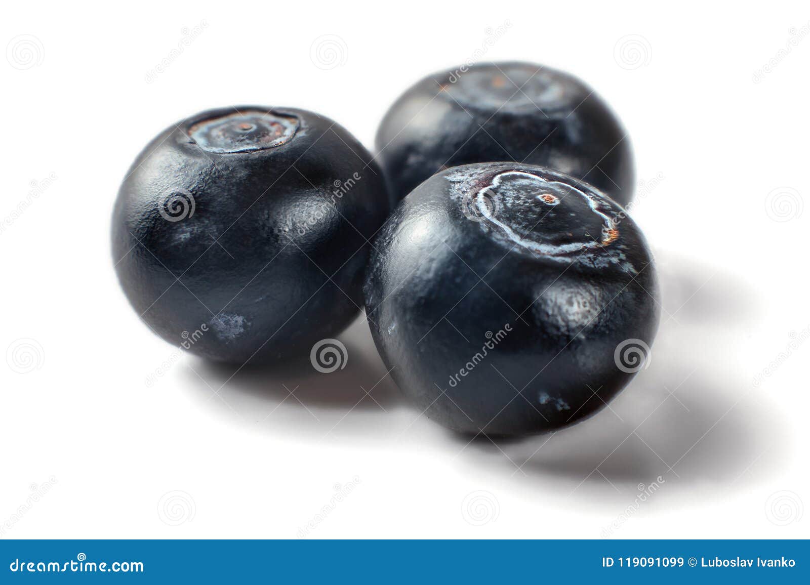 Three Dark Blueberries Isolated on White Background. Stock Image ...
