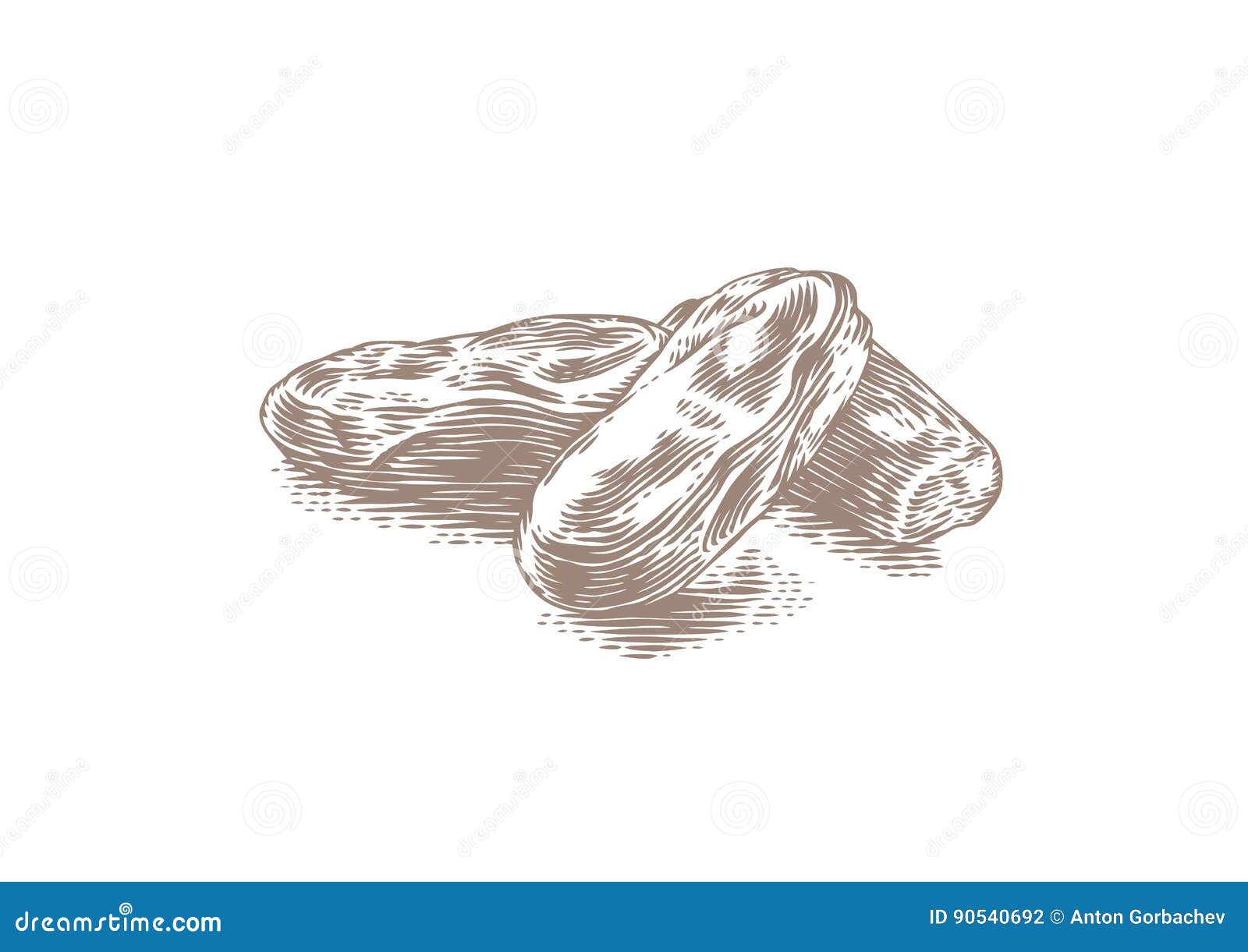 Three dates stock vector. Illustration of fruit, sweet - 90540692